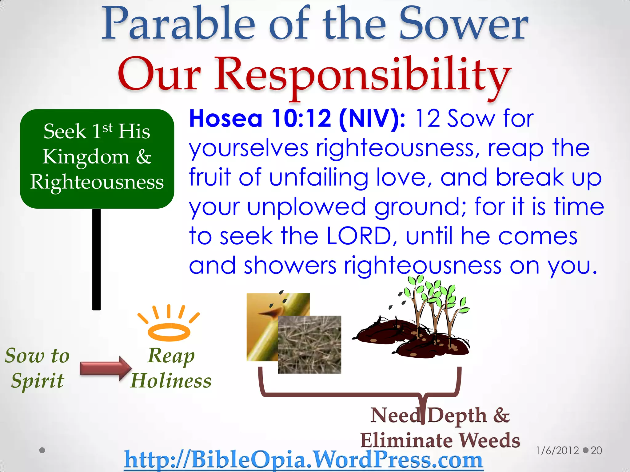 Parable of the Sower and Reapers Roadmap | PDF