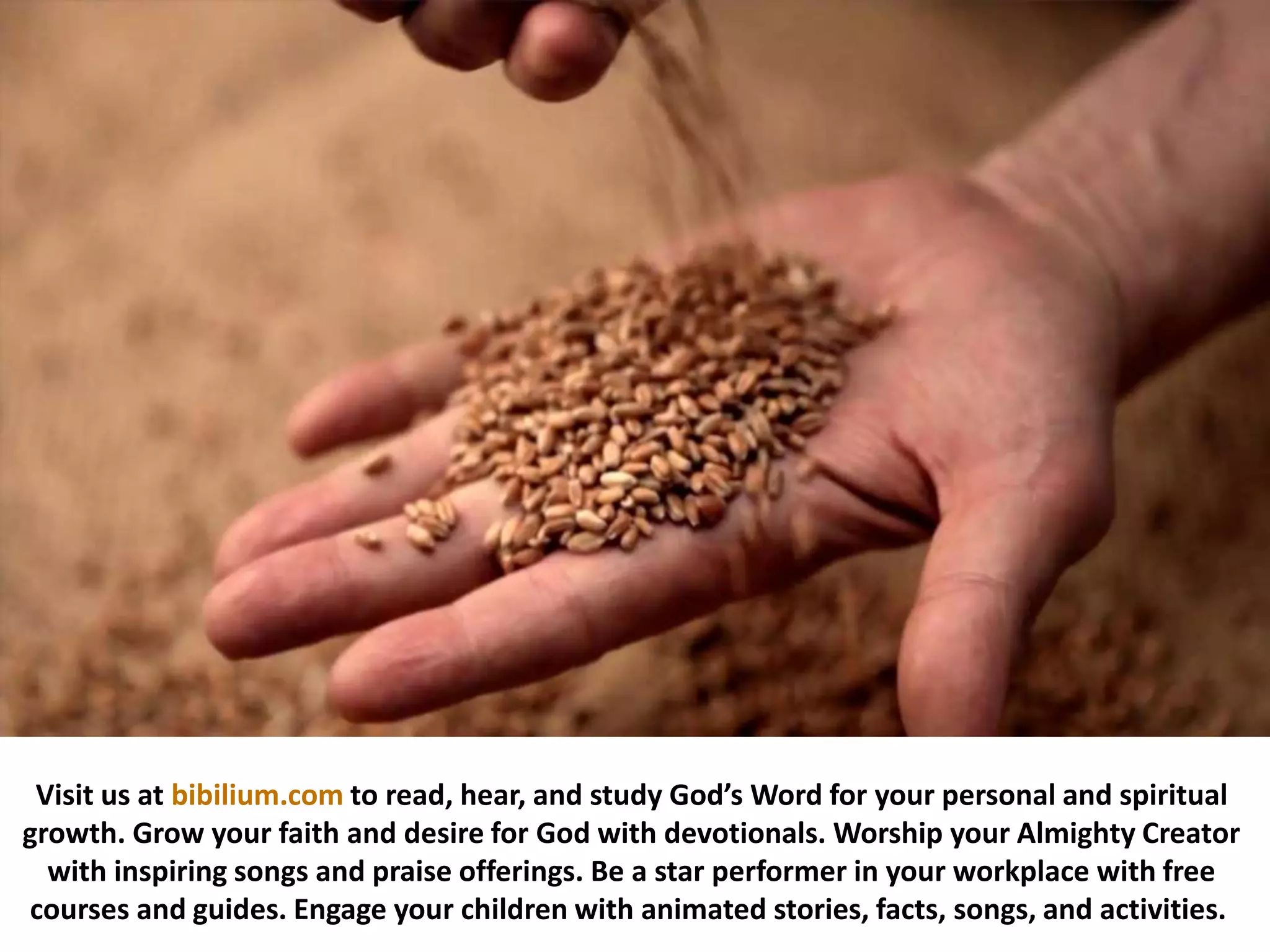 Parable of the Tares | PPT