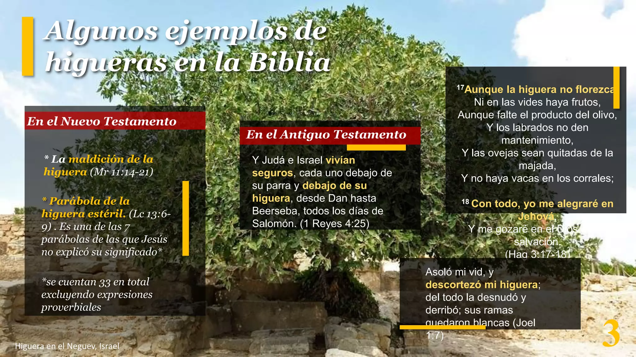 Parabola de la higuera seca, Lc 13:6 | PPTX