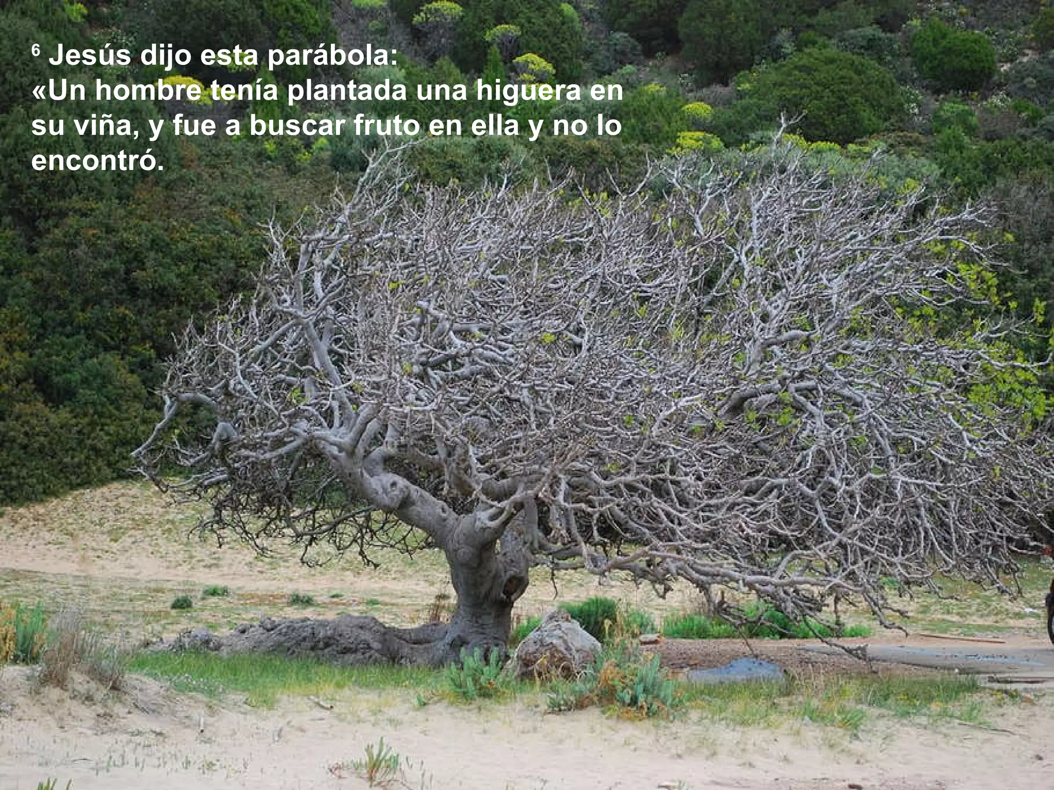 Parabola Higuera Seca | PPT