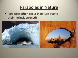 Parabola In Nature Examples
