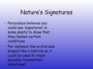 Paracelsus | PPT