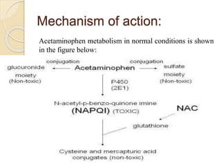 Case Study on Paracetamol toxicity | PPTX