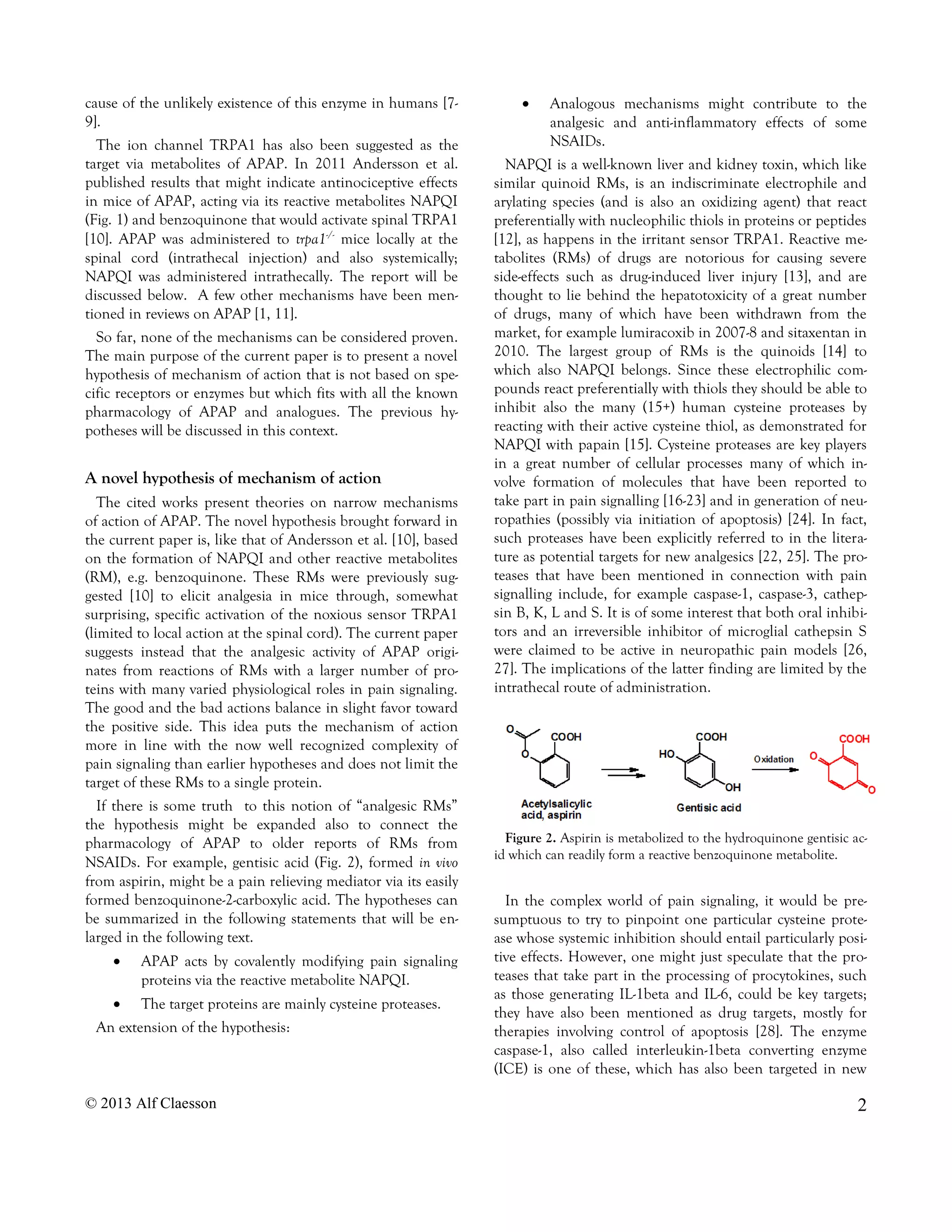 Paracetamol mechanism of action on slide share | PDF