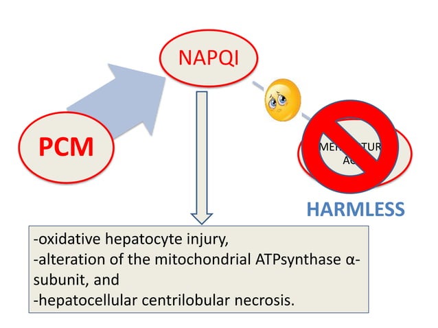 Paracetamol poisoning | PPT