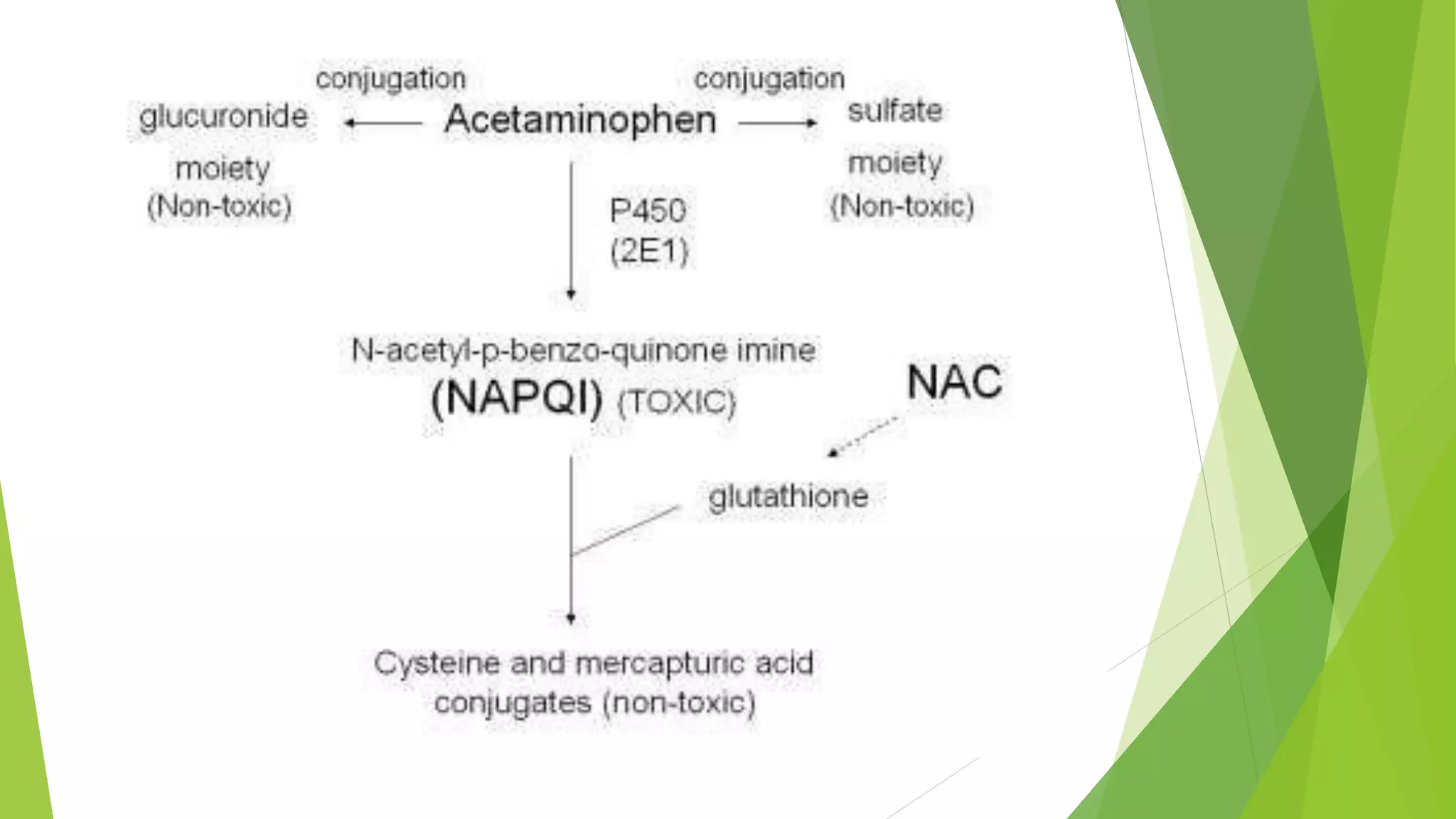 PARACETAMOL POISONING.pptx