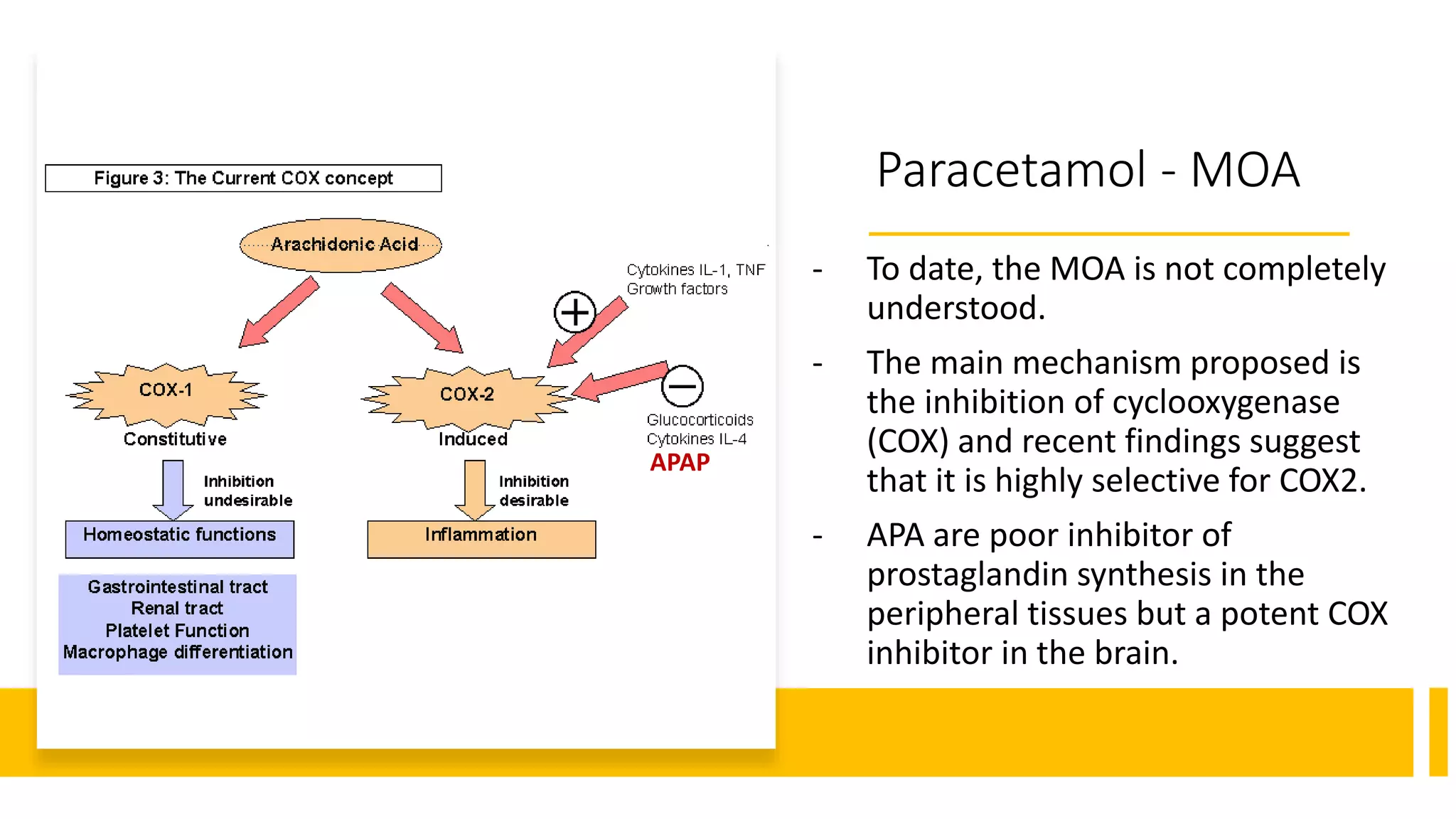 Paracetamol Toxicity | PPTX