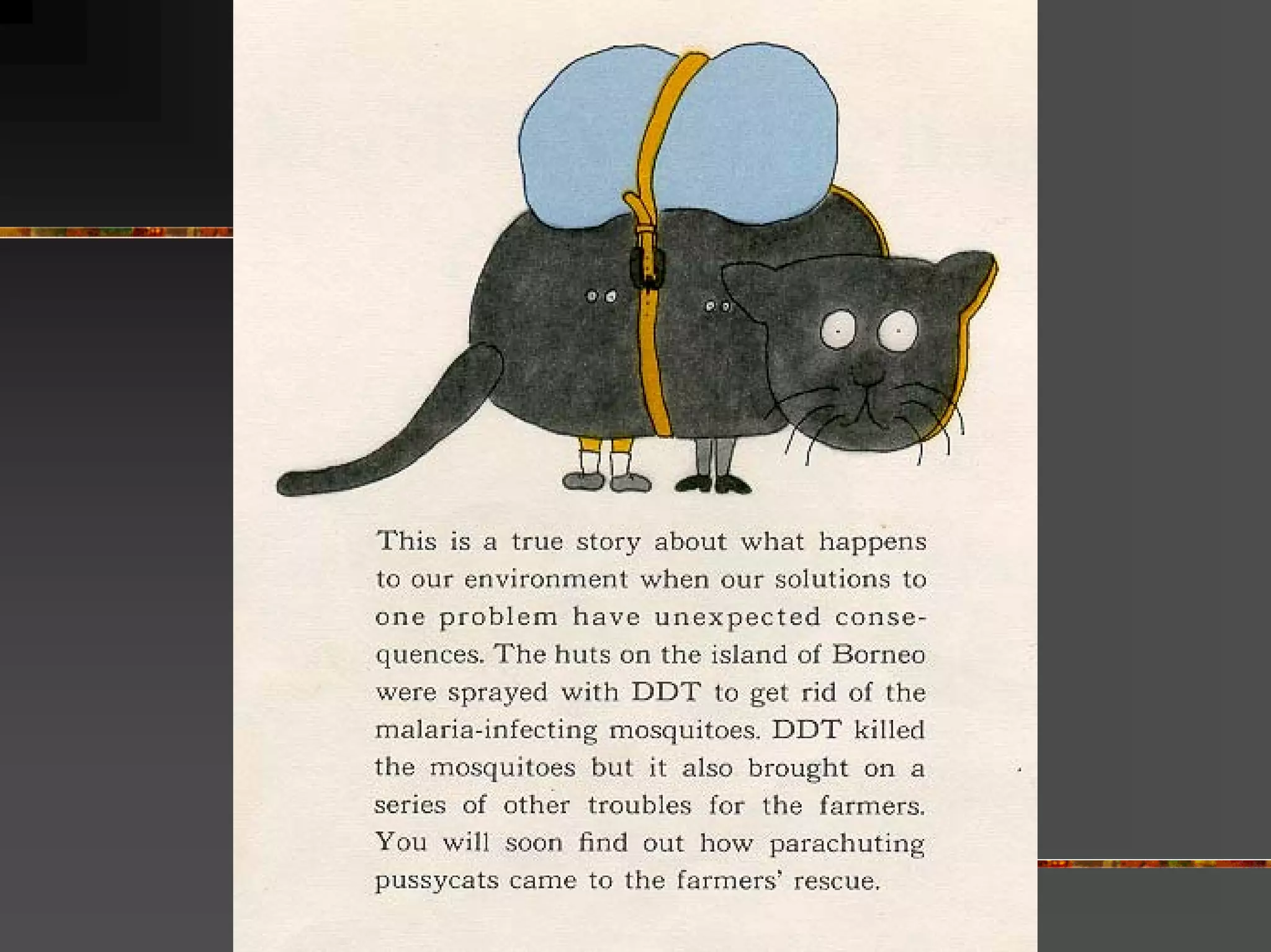 The Day They Parachuted Cats on Borneo | PDF