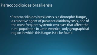 Paracoccidioides | PPT