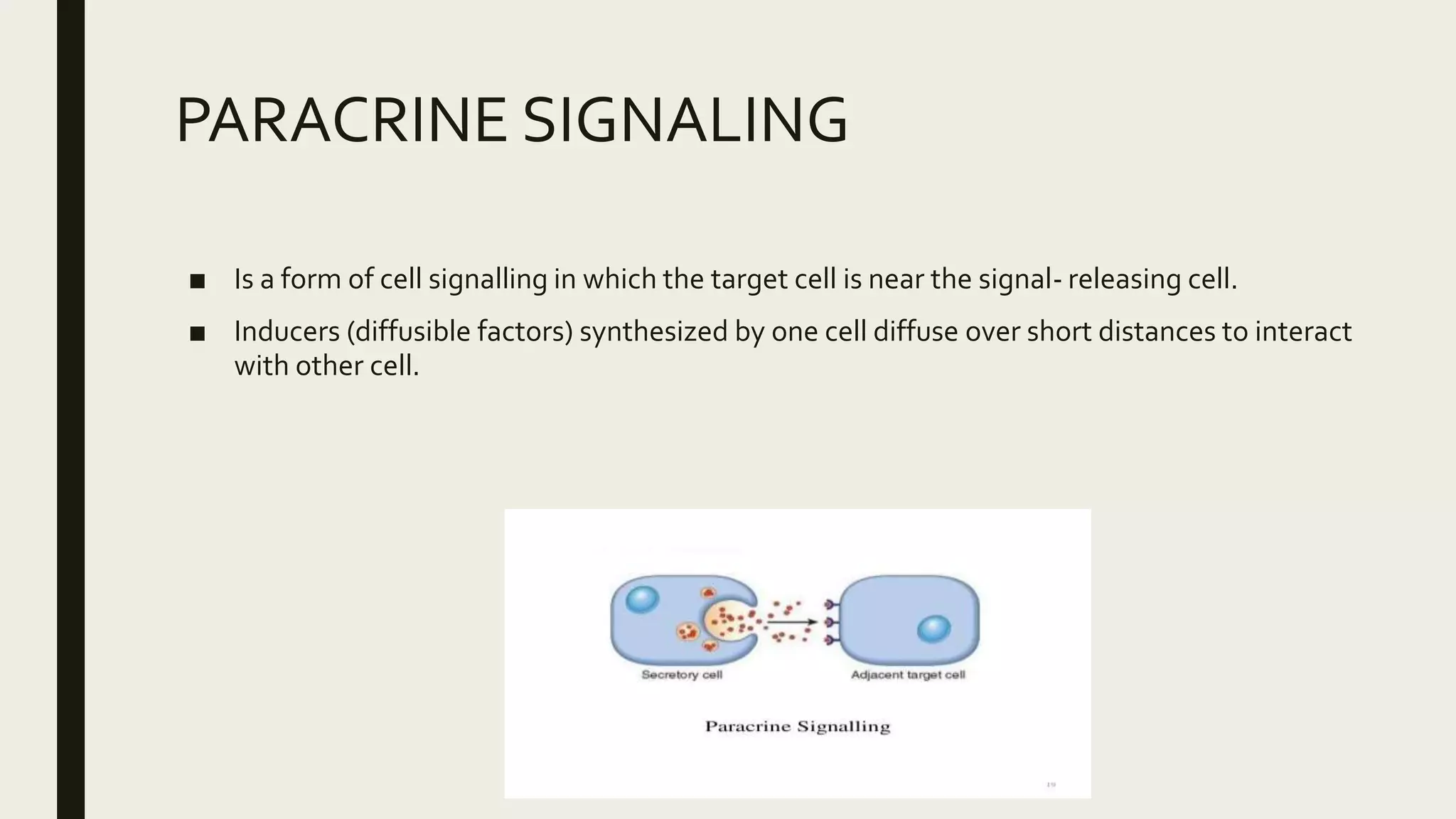 Paracrine factors 2 | PPTX