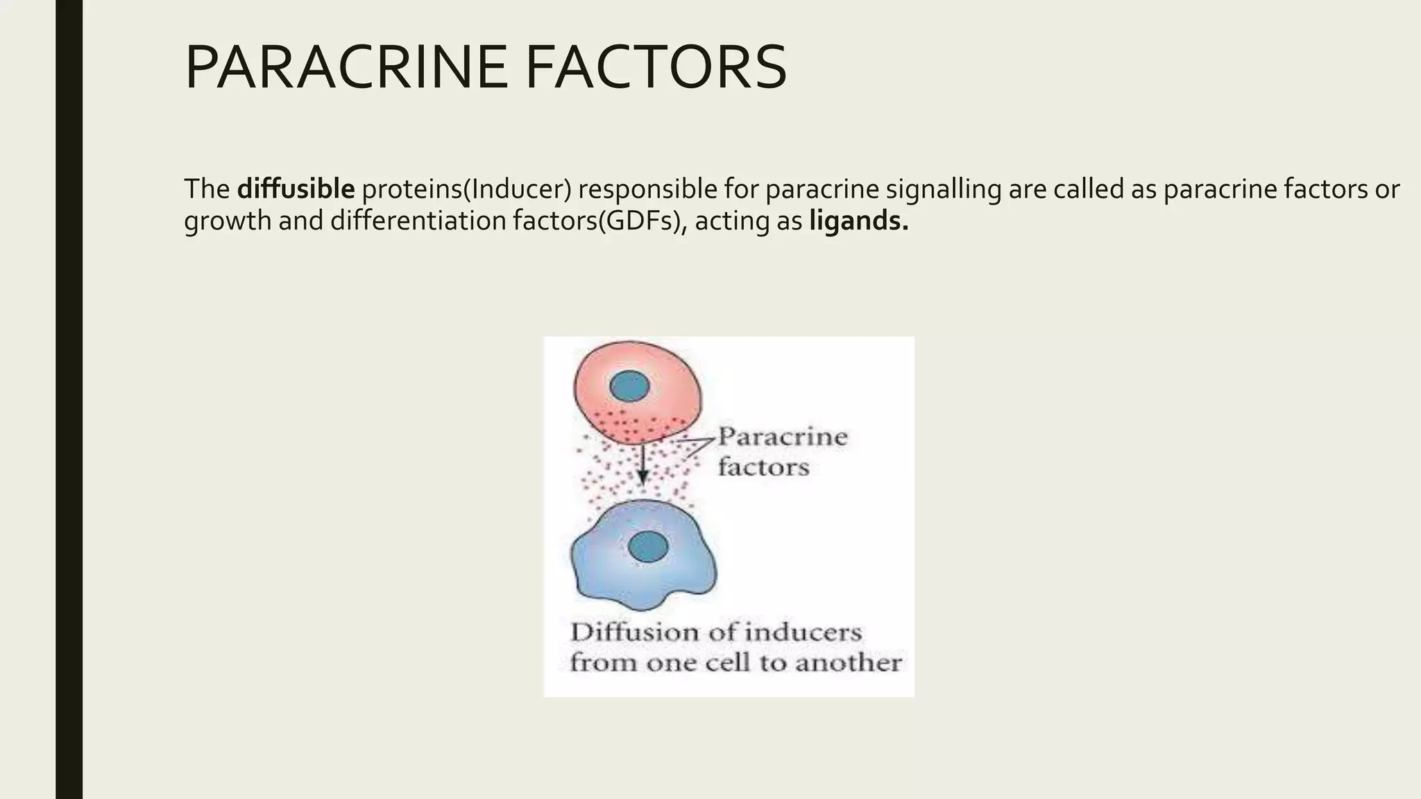 Paracrine factors 2 | PPTX