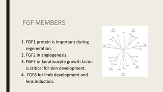 Paracrine factors 2 | PPTX