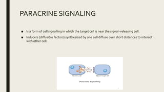 Paracrine factors 2 | PPTX