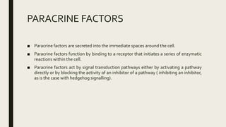 Paracrine factors 2 | PPTX