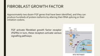 Paracrine factors 2 | PPTX