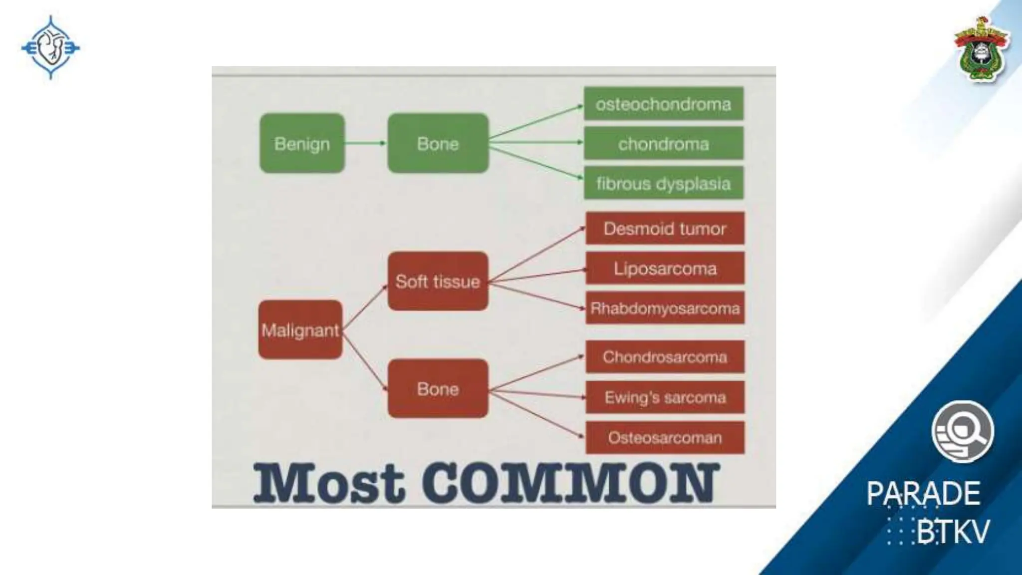 Parade BTKV - Tumor Sternum.pptx