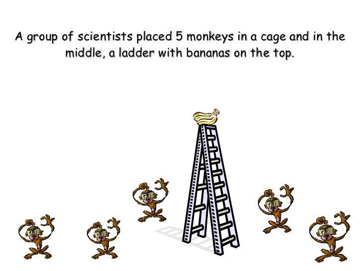 a story about 5 monkeys