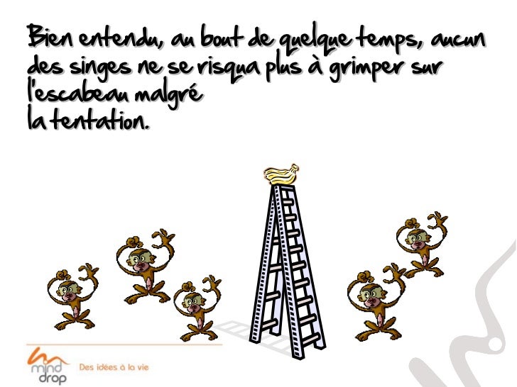 Définition d'un paradigme