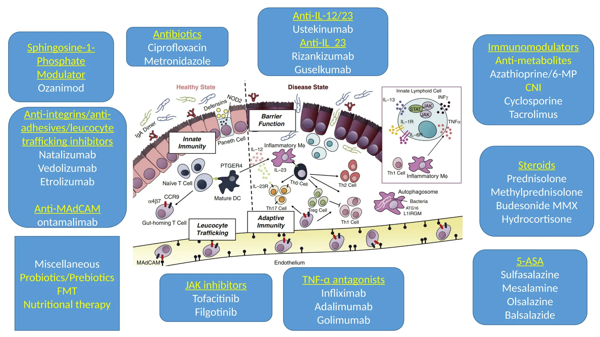 Paradigm shift in IBD-UC management.pptx