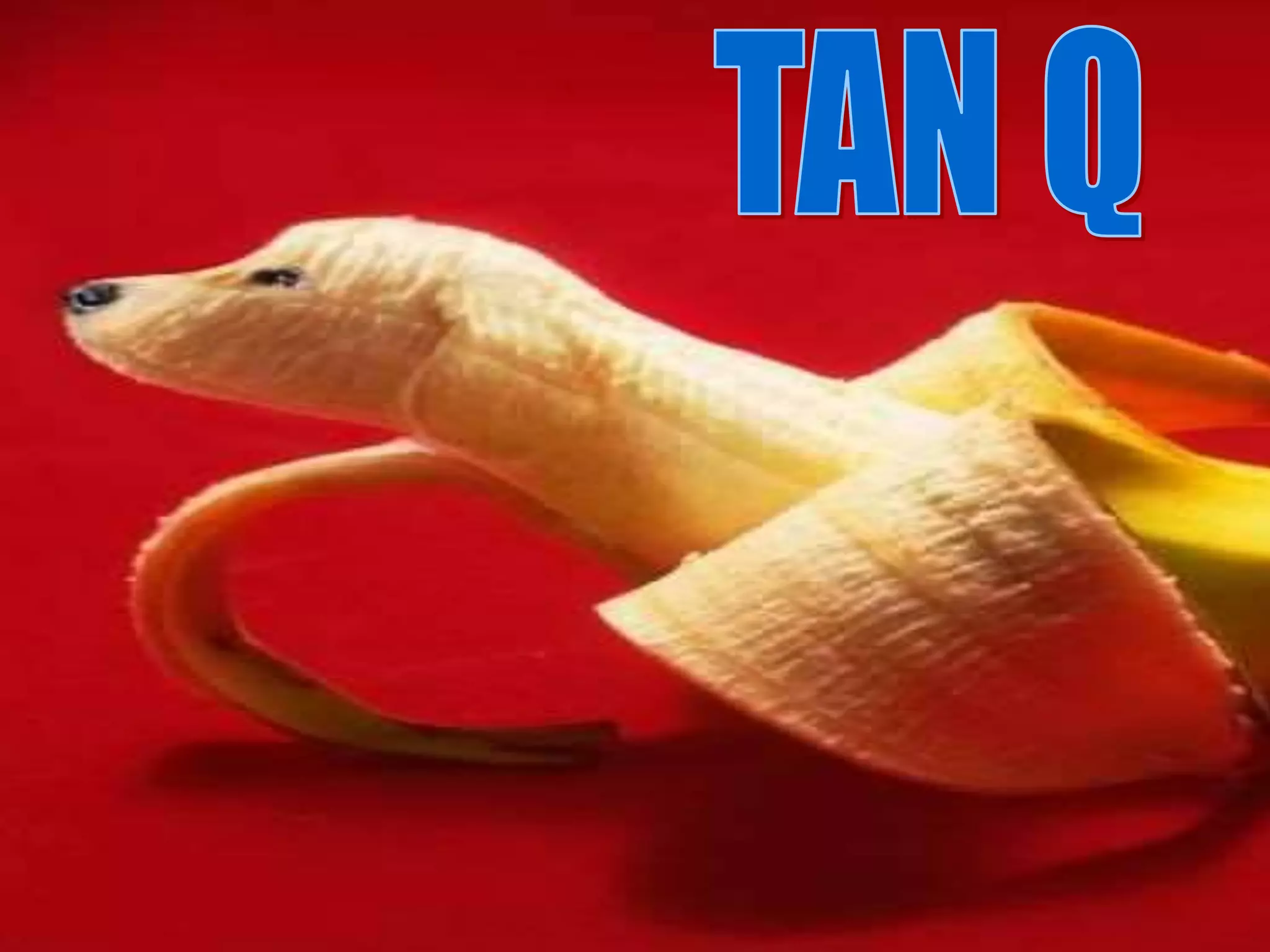 Paradigm shift in spinal manual therapy | PPTX | Physical Therapy ...