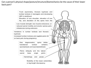 Paradigm shift in spinal manual therapy | PPTX | Physical Therapy ...