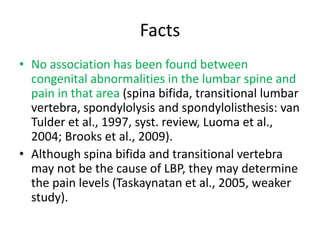 Paradigm shift in spinal manual therapy | PPTX | Physical Therapy ...