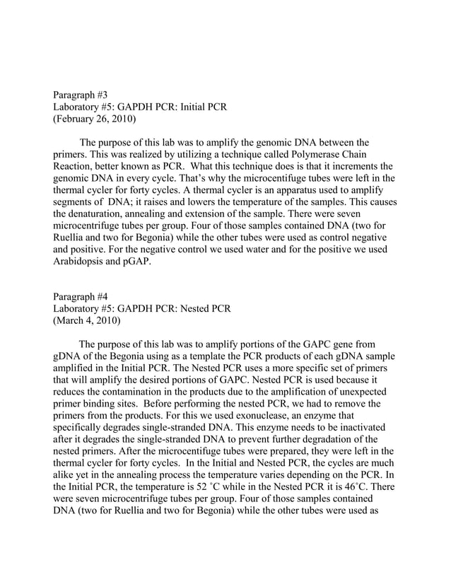 Parafos para rise 2010 | DOCX