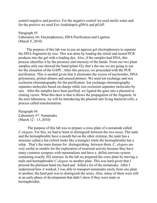 Parafos para rise 2010 | DOCX