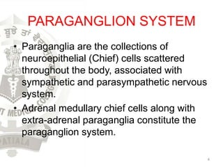 PARAGANGLIOMAS- A complete review with recent updates. | PPTX