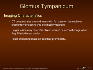 paragangliomas of head and neck FDG PET CT | PDF