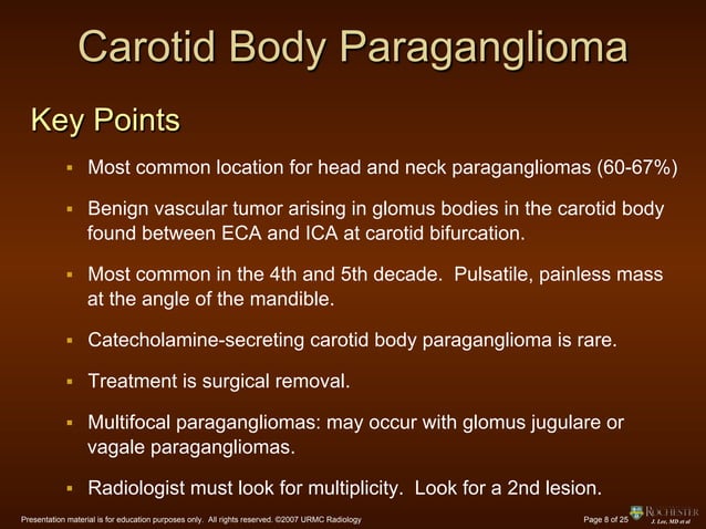 paragangliomas of head and neck FDG PET CT | PDF