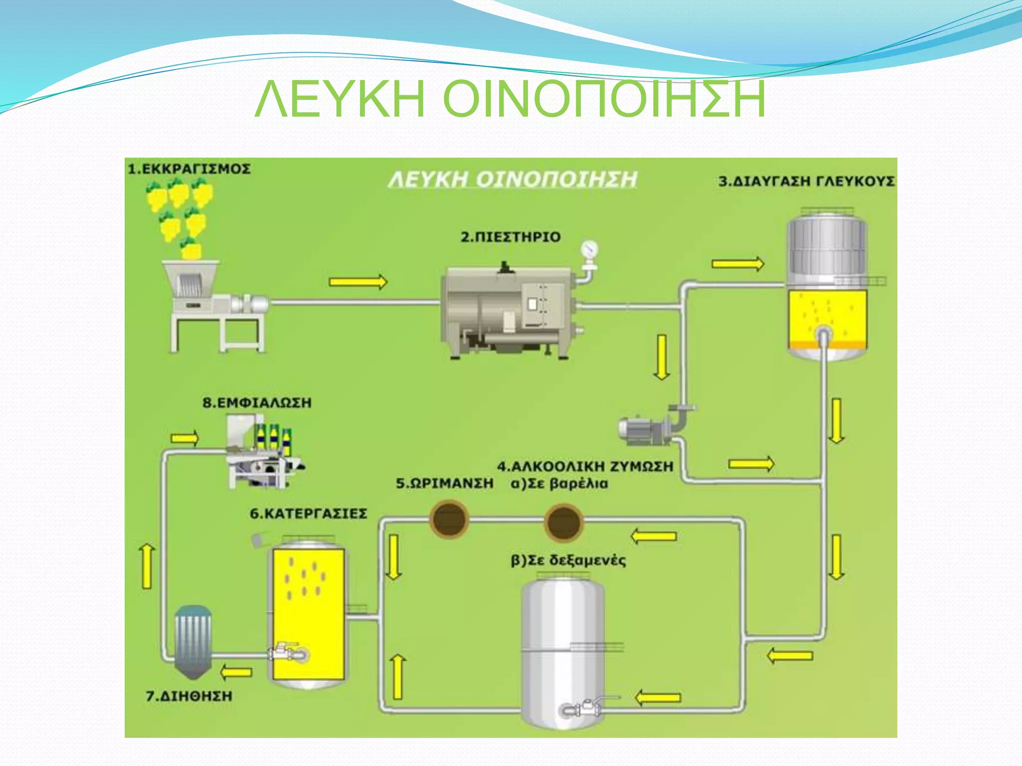 Πώς παράγουμε το κρασί | PPTX
