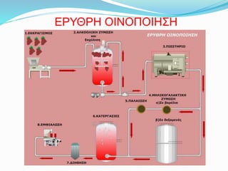 Πώς παράγουμε το κρασί | PPTX