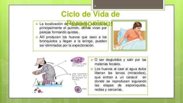 Parasitología - Paragonimus
