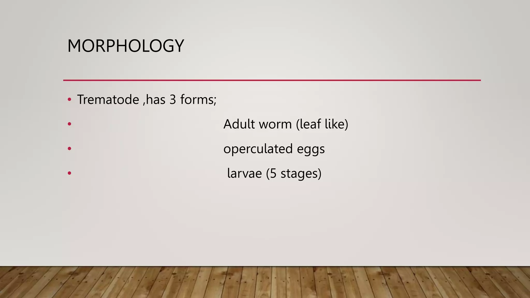 paragonimiasis.ppt_final.pptx