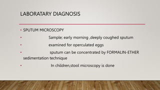 paragonimiasis.ppt_final.pptx | Lung and Respiratory Health | Diseases ...