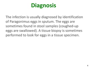 Paragonimiasis | PPTX