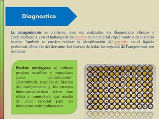 Paragonimiasis Pulmonar | PPTX