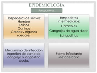 Paragonimosis | PPTX | Medical Health