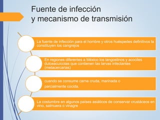 Paragonimosis | PPTX