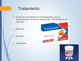 Paragonimosis | PPTX