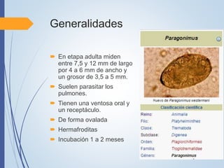 Paragonimosis | PPTX