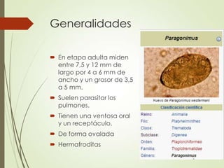 Paragonimus (Paragonimiasis) | PPT