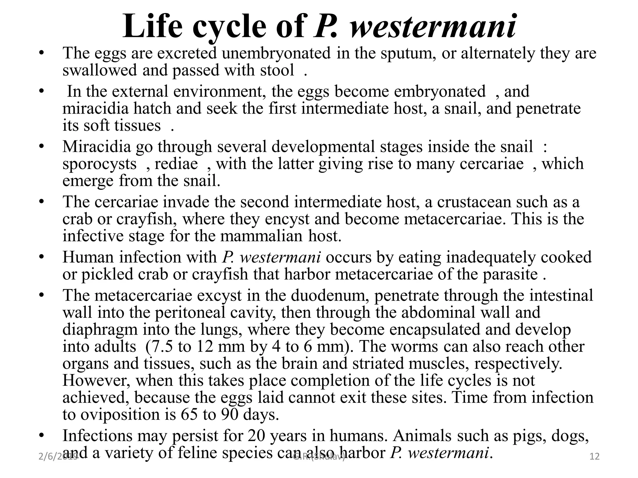 Paragonimus westermani | PDF