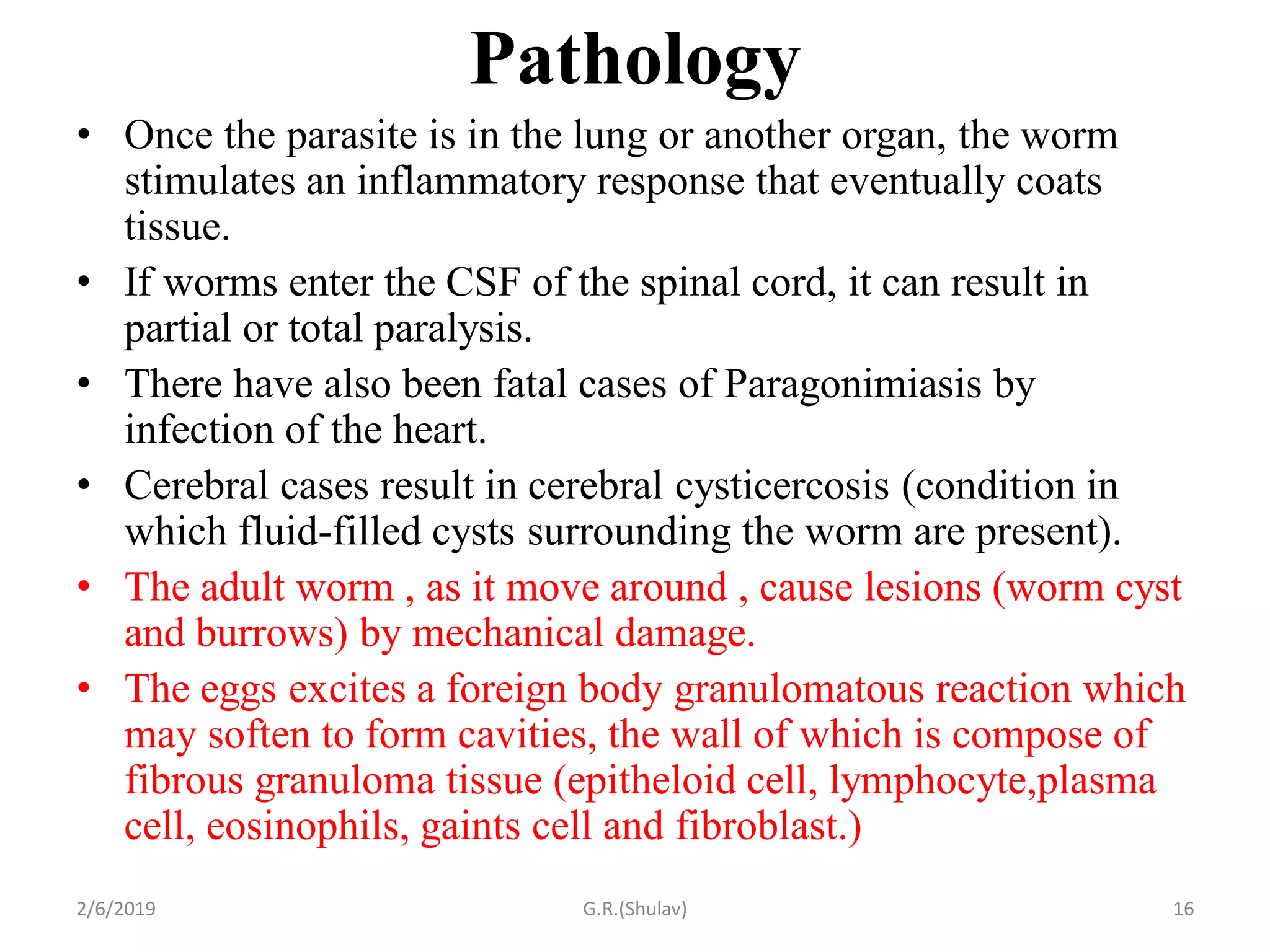 Paragonimus westermani | PDF