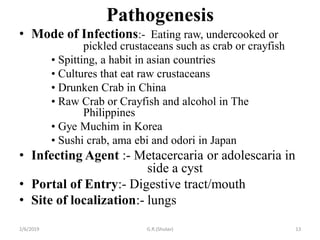 Paragonimus westermani | PDF