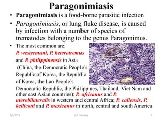 Paragonimus westermani | PPT