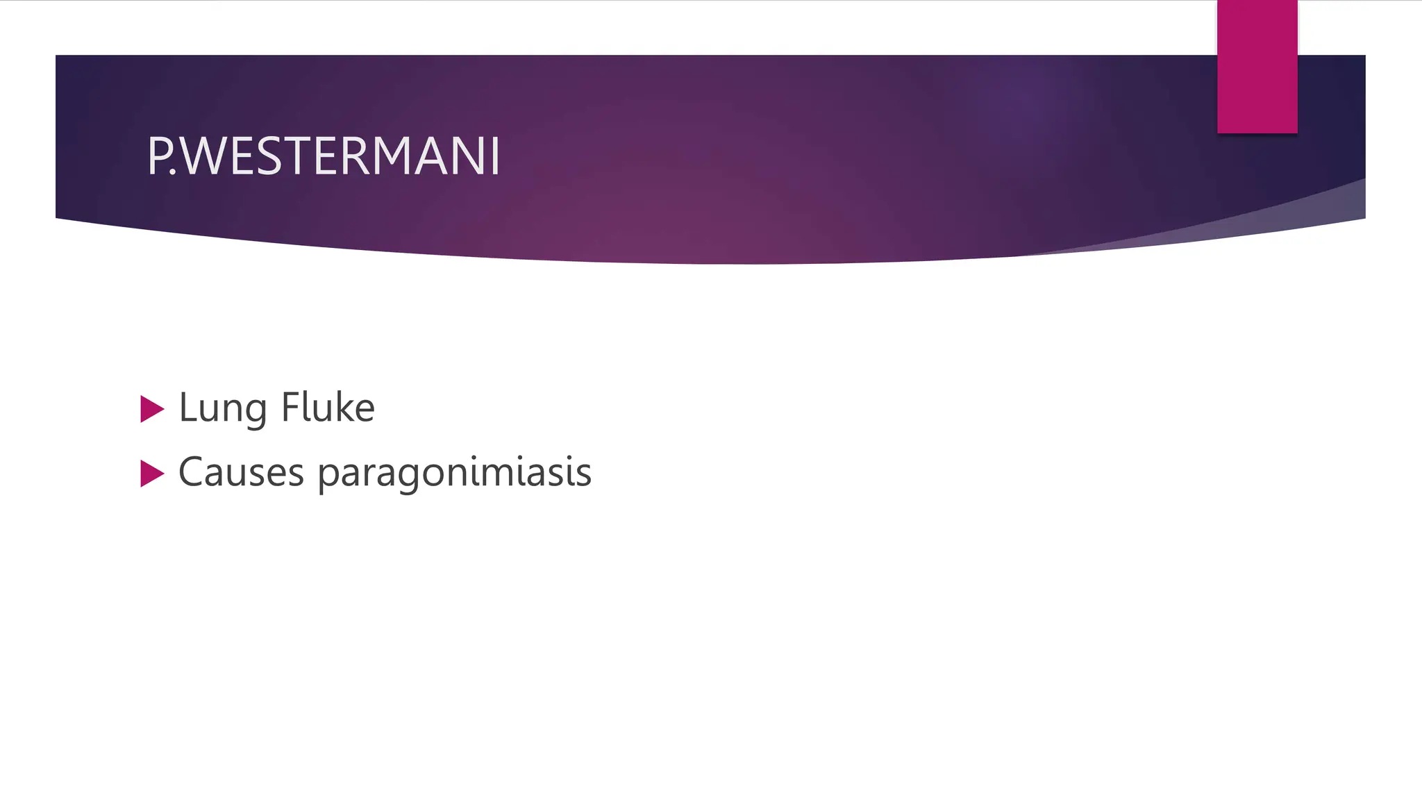 Paragonimus westermani is a parasitic lung fluke primarily found in ...