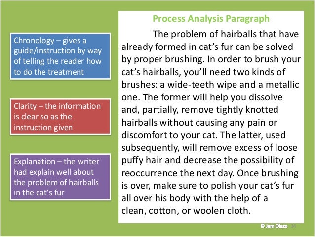 Paragraph Development