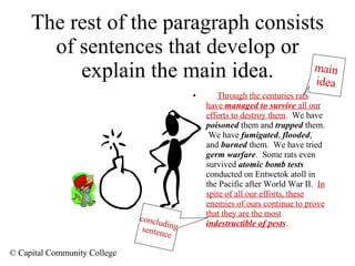 Paragraph Structure | PPT